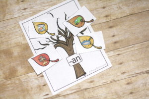 Fall CVC Matching Free Printable → Royal Baloo