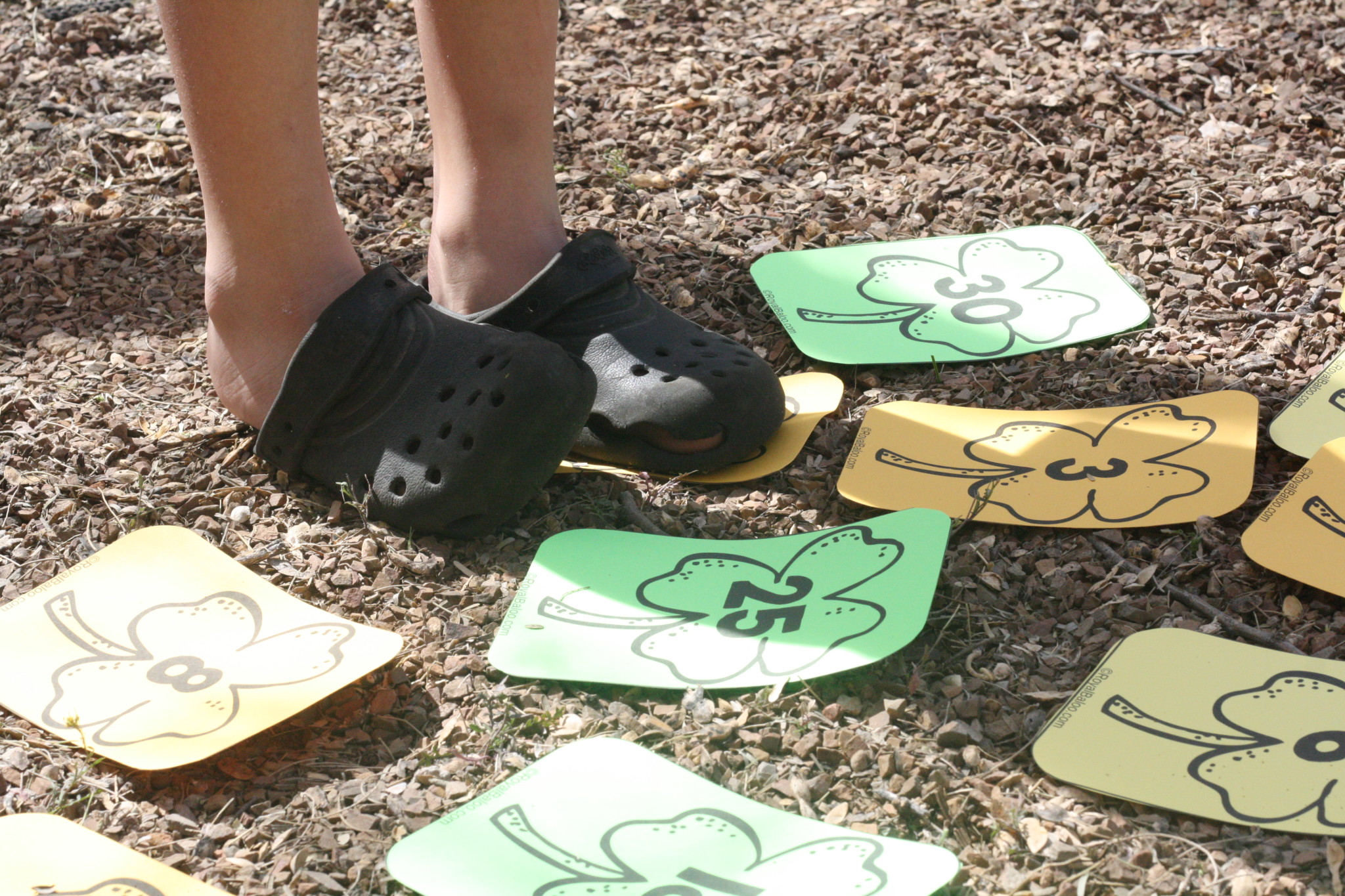 Shamrock STOMP – Number Sense, Addition, and Multiplication → Royal Baloo