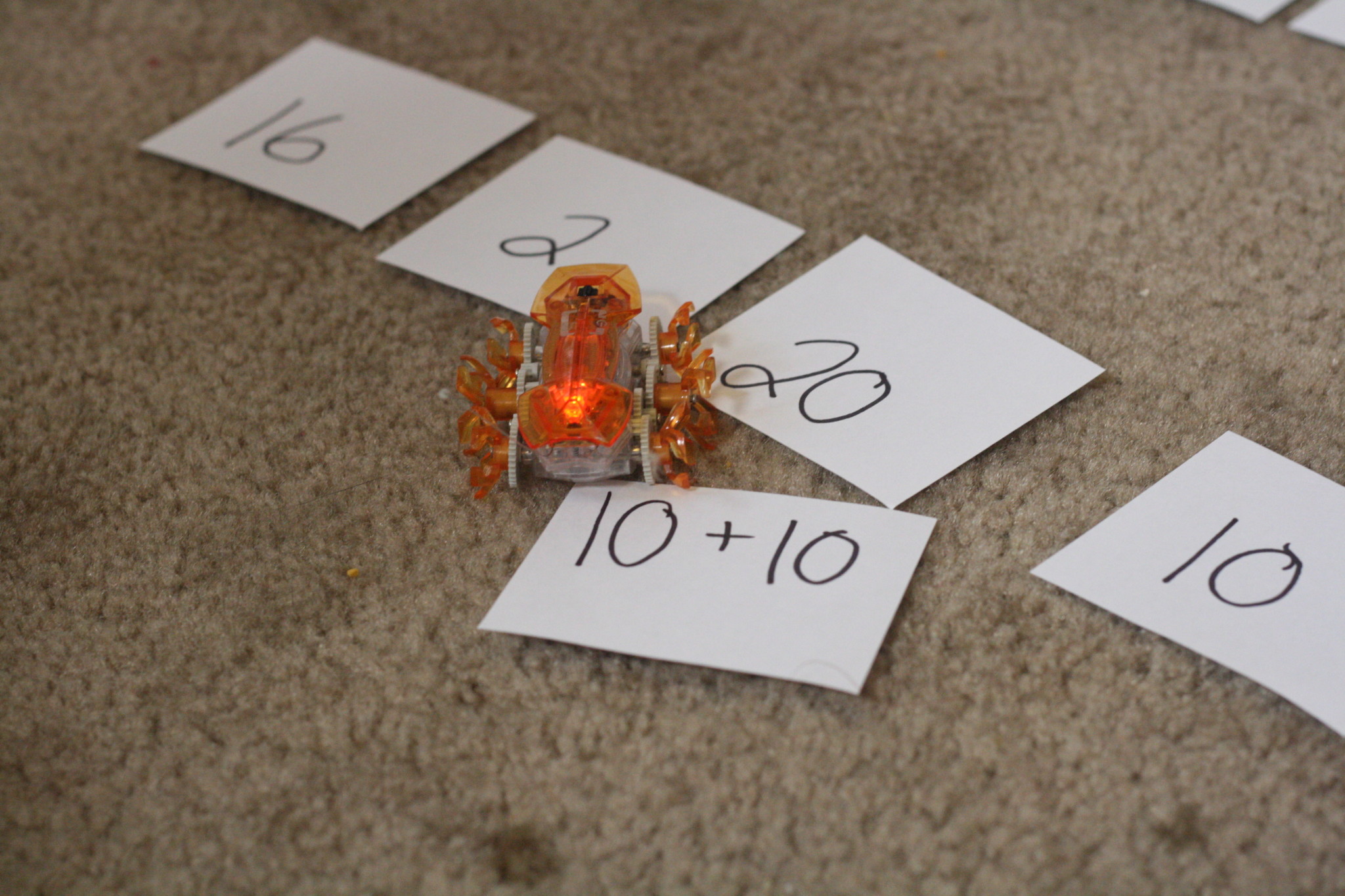 Hexbug Math → Royal Baloo