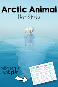 Arctic Animals Unit Study for Kids → Royal Baloo