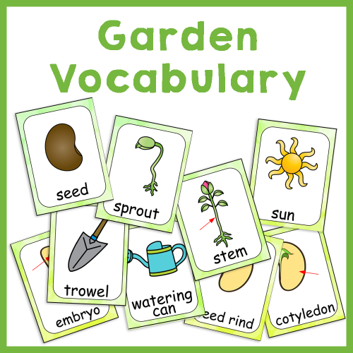 Garden Vocabulary → Royal Baloo