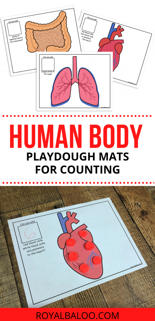 Human Body Play Dough Pages → Royal Baloo
