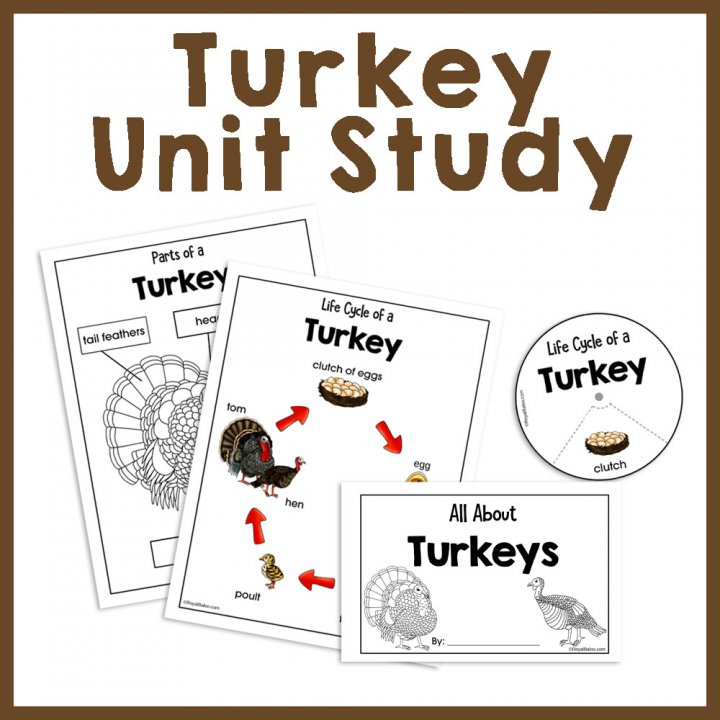 Turkey Unit Study – Everything You Need → Royal Baloo