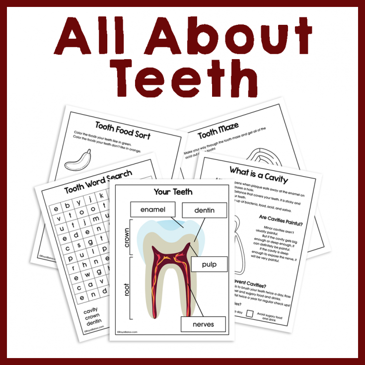 All About Teeth → Royal Baloo