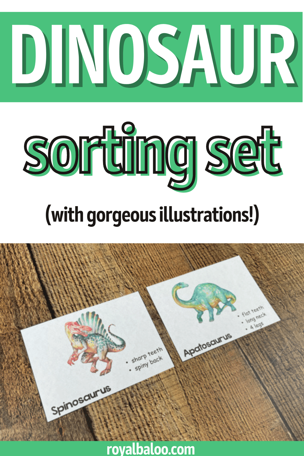 Dinosaur Sorting → Royal Baloo