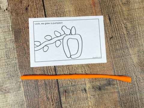 Playdough Life Cycle of a Pumpkin Set → Royal Baloo